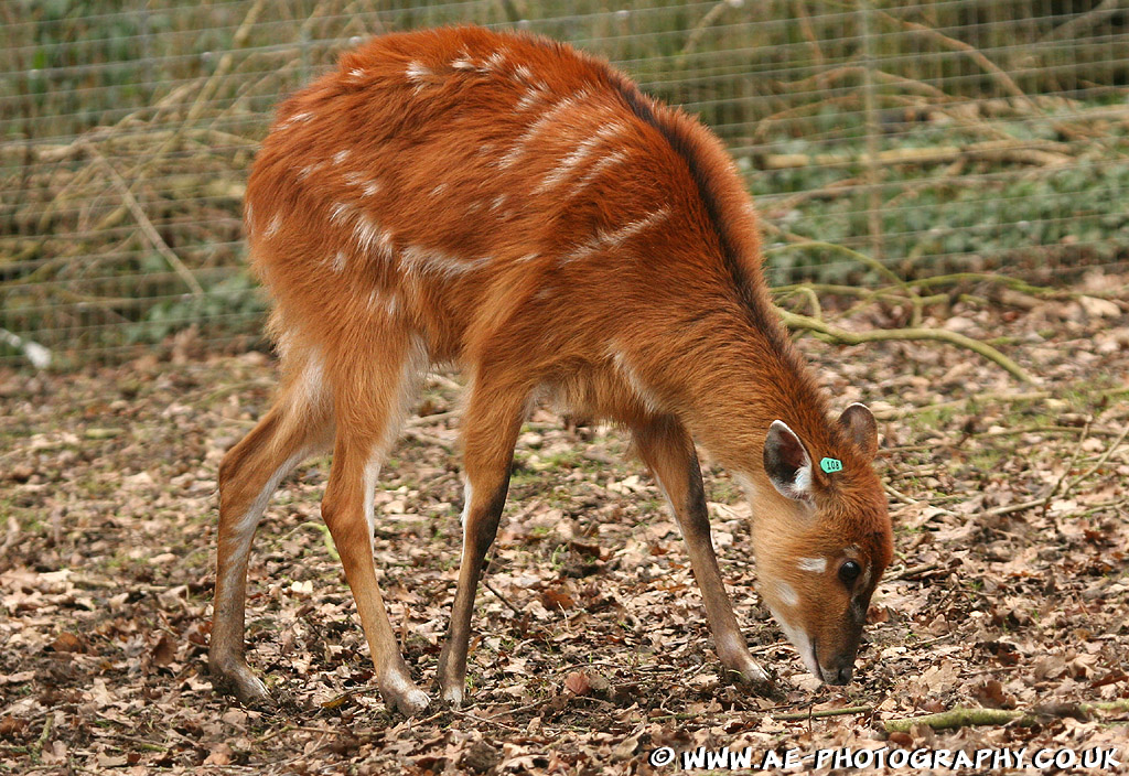 Gallery: 13/02/2006 - Marwell Zoological Park Photos