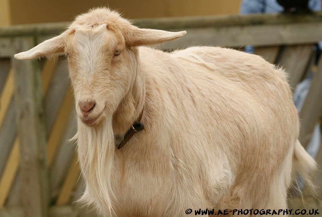 Gallery: 13/02/2006 - Marwell Zoological Park Photos